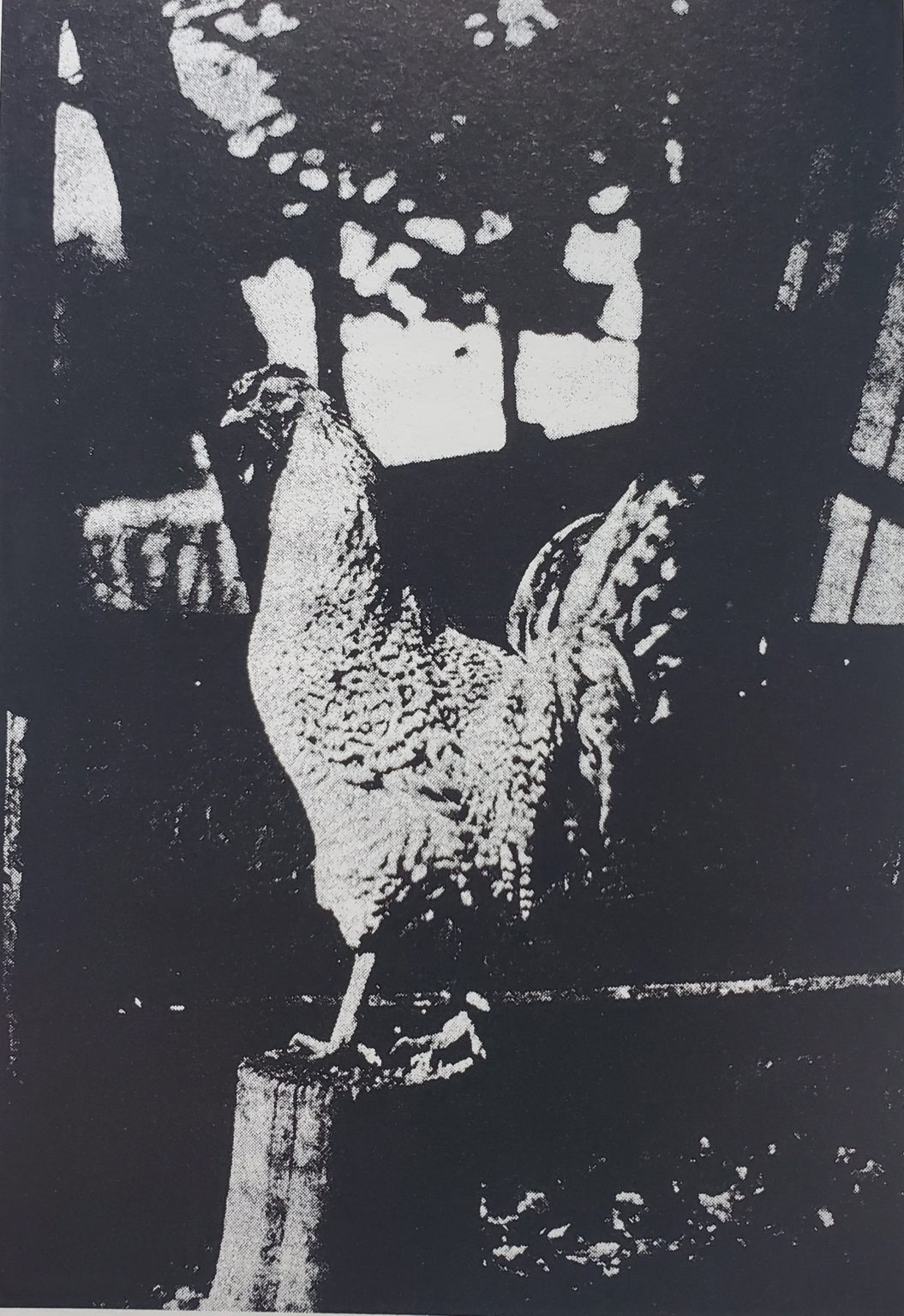 Old Photos and Artwork – THE AMERICAN DOMINIQUE